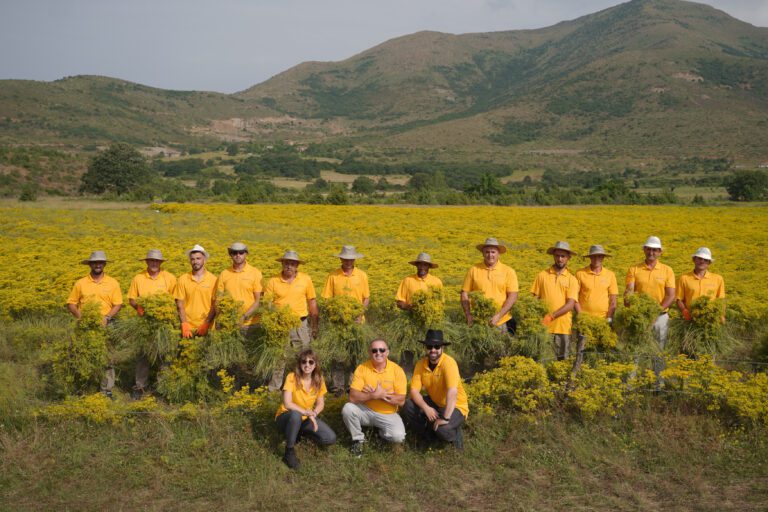 Metalplant - Farming Nickel with Hyperaccumulator Plants