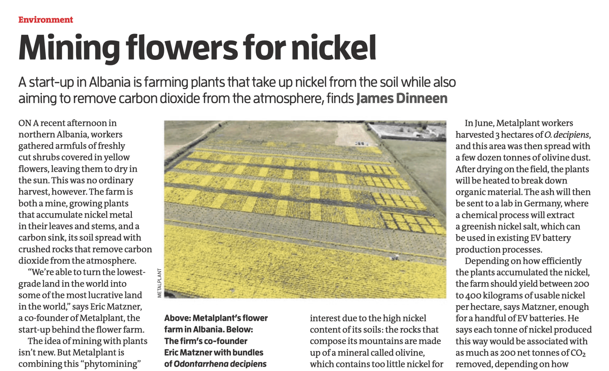 Metalplant - Farming Nickel with Hyperaccumulator Plants
